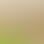 Buy Dr Reddy's Celevida Protein Powder Drink For Diabetes Management ...