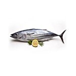 Buy Eagle Fisheries Fish - Vanjaram, Cut Piece Online at Best Price of ...