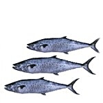 Buy The Chop Shoppe Fish - Seer Fish / Vanjaram / Neymeen / Anjal ...