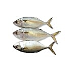 Buy Meena Fish Fish Bangda Mackerel 500 Gm Size 4 5 Online at the Best ...