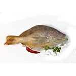 Buy Hamvi Fish Red Snapper 500 Gm Online at the Best Price of Rs null ...