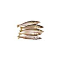 Buy Fish Chicken Shopee Fish Lady Fish White Killanga 500 Gm Online at ...