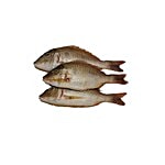 Buy JB Seafoods Fish - Emperor Online at Best Price of Rs null - bigbasket