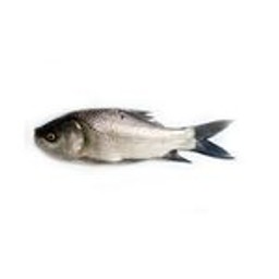 Buy Fish Land Fish - Parava Meenu Whole Cut Piece Online at Best Price ...