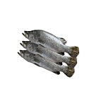Buy Gala seafood Fish - Sea Bass Online at Best Price of Rs null ...