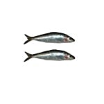 Buy JB Seafoods Fish - Chala Online at Best Price of Rs null - bigbasket