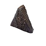Buy Bangla Pastry Shop Pastry - Choco Pyramid, Eggless Online at Best ...