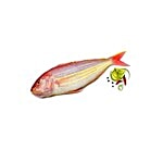 Buy Fish & Chicken Shoppee Fish - Red Snapper (Sankara ), Big Online at ...