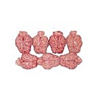 Buy Fresh World Mutton - Brain Online at Best Price of Rs null - bigbasket