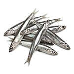 Buy RK Seafood Fish - Veluri / Anchovy 600 gm (Cleaned) Online at Best ...
