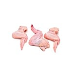 Buy Blue Nile Cold Storage Chicken - Wings With Skin Online at Best ...