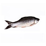 Buy Machhi Bazaar Fish - Rahu Online at Best Price of Rs null - bigbasket