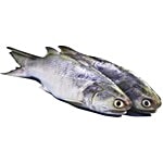 Buy Roy's Meat & Fish Fish - Indian Salmon Online at Best Price of Rs ...
