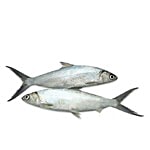 Buy Fresh Catch Fish - Poomeen / Punnar 1 kg (Fry Cut) Online at Best ...