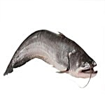 Buy Fresh Catch Fish - Boaal, Curry Cut With Head & Tail Online at Best ...