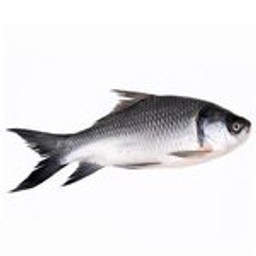 Buy Pankaj Fish Merchant Fish - Catla Online at Best Price of Rs null ...