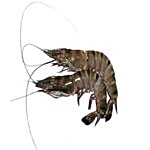 Buy Big Fish Bagda Chingri / Prawn Large, 15 Pcs Online at Best Price ...