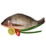 Buy Machli Ghar Fish - Tilapia / Telapia, Standard Size Online at Best ...