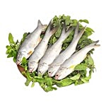 Buy Machli Ghar Fish - Gurjali / Indian Salmon Online at Best Price of ...