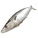 Buy Pacific Sea Foods Fish - Surmai, Slices Online at Best Price of Rs ...