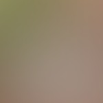 Buy Pitaamah Chinnor Rice - Raw/Unpolished Online at Best Price of Rs ...