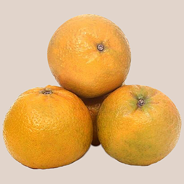 Buy fresho! Orange - Kinnow Online at Best Price of Rs 44.93 - bigbasket