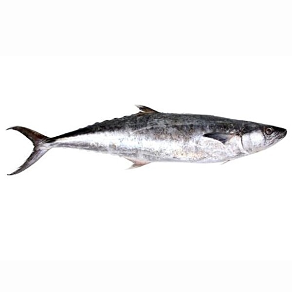 Buy Fresho Seer Fish (Large) - Boneless Online at Best Price of Rs 2610 ...
