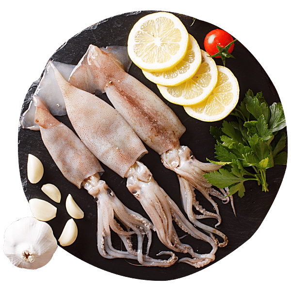 Buy Fresho Squid - Medium 500 gm Online at Best Price. of Rs 479 ...