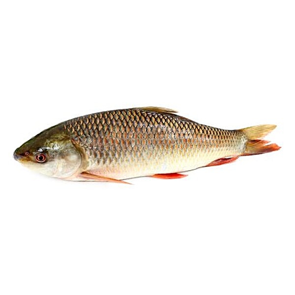 Buy Fresho Rohu Fish (Large) - Cleaned and Whole Online at Best Price ...