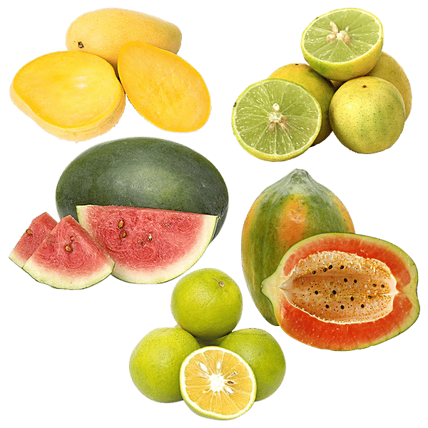 Buy fresho! Fruit Combo Online at Best Price of Rs 655 - bigbasket