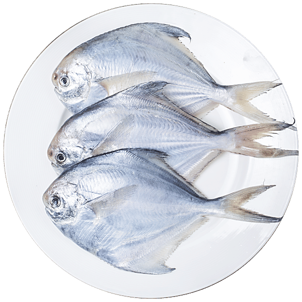 Buy Fresho Pomfret White Large 1 Kg Online at the Best Price of Rs 1769 ...