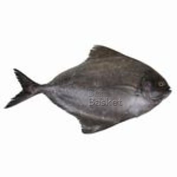 Buy Fresho Pomfret Black Fish (Medium) - Curry Cut/Bengali Cut Online ...