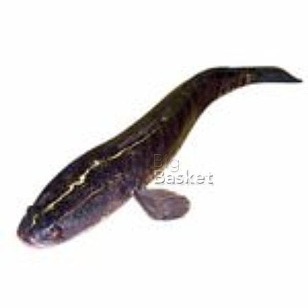 Buy fresho! Murrel Fish/River Sole - Curry Cut/Fry Cut Online at Best ...