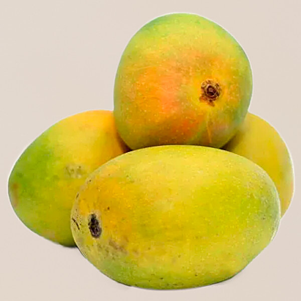 Buy Fresho Mango Alphonso 6 Pcs Online At Best Price of Rs 456.98 ...
