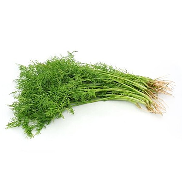 Buy Organic Dill Leaves Online at Best Price of Rs null - bigbasket