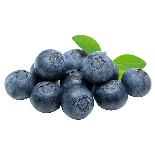Buy Fresho Blueberry Imported 125 Gms Online At Best Price of Rs 276.67 ...