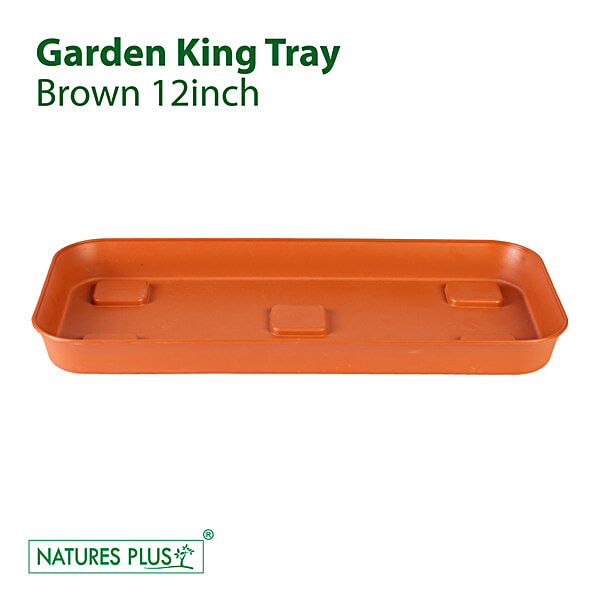 Buy Kr Rectangular Planter Tray No 2 Upper 31 X 17 Cm Bottom 30 X 15 Cm ...