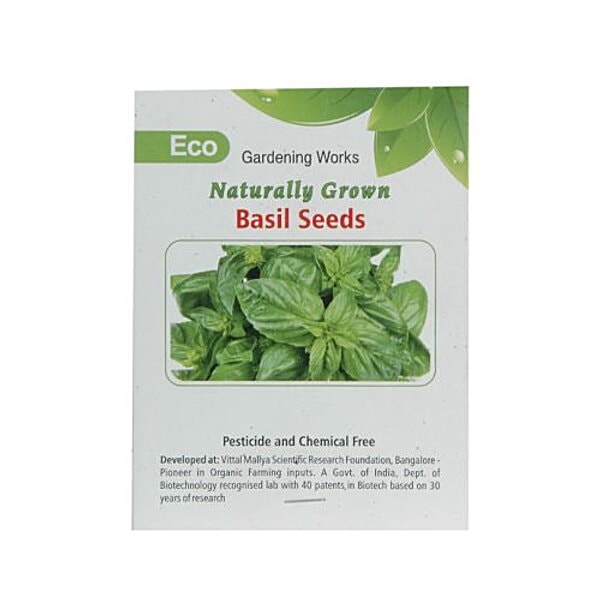 Buy Eco Naturally Grown Italian Basil Seeds 25 Seeds Pouch Online At ...