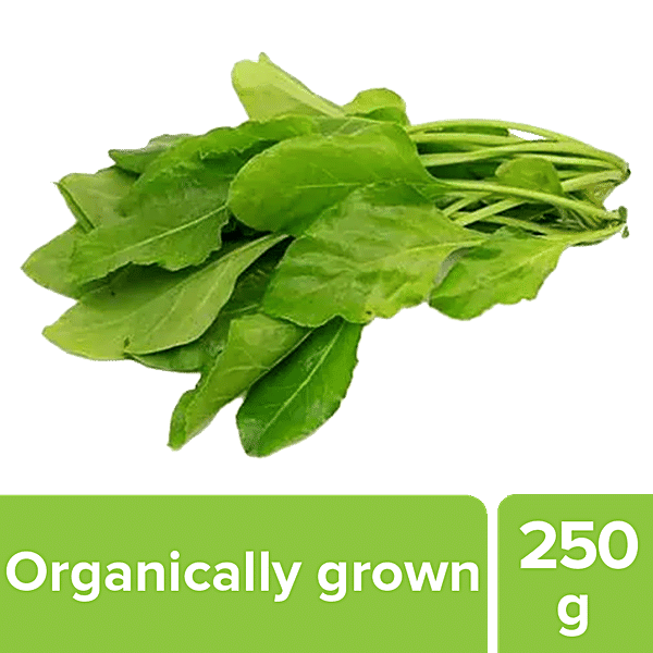 Buy Fresho Palak Organically Grown 250 Gm Online At Best Price of Rs 14 ...