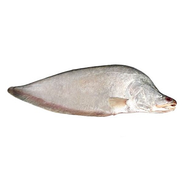 Buy fresho! Foloi Fish - Whole Cleaned Online at Best Price of Rs 119 ...