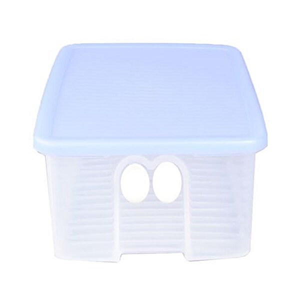 Buy Tupperware Container - Fridge Smart, Blue Online at Best Price of ...