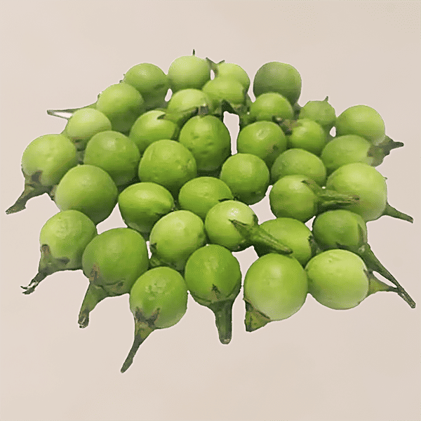 Buy fresho! Pea Eggplant / Sundaikai Online at Best Price of Rs 11.45 ...