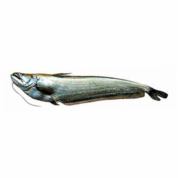 Buy Fresho Boal Fish - Preservative Free Online at Best Price of Rs 749 ...