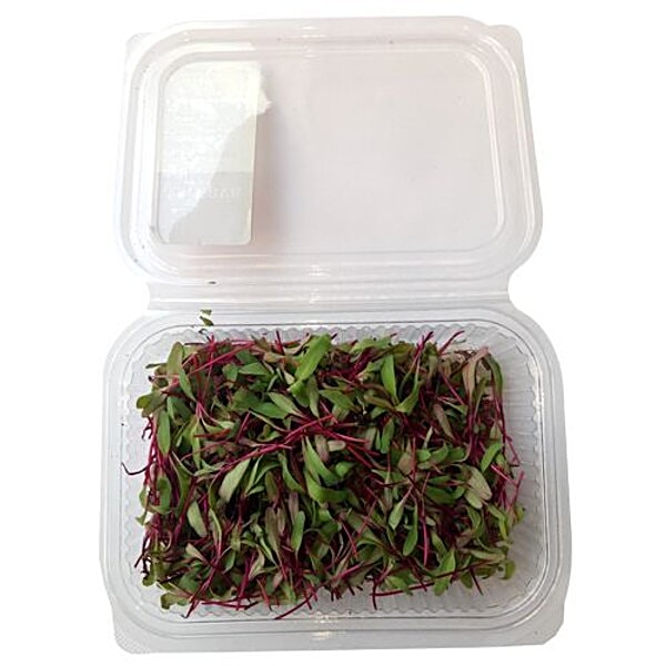 Buy Trikaya Microgreen Beetroot Online at Best Price of Rs 396 - bigbasket