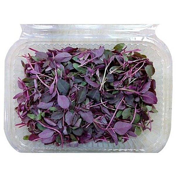 Buy Trikaya Microgreen Amaranth Online at Best Price of Rs 198 - bigbasket