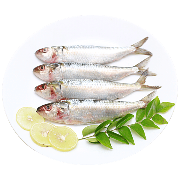 Buy fresho! Tengra Fish - B Online at Best Price of Rs 280 - bigbasket