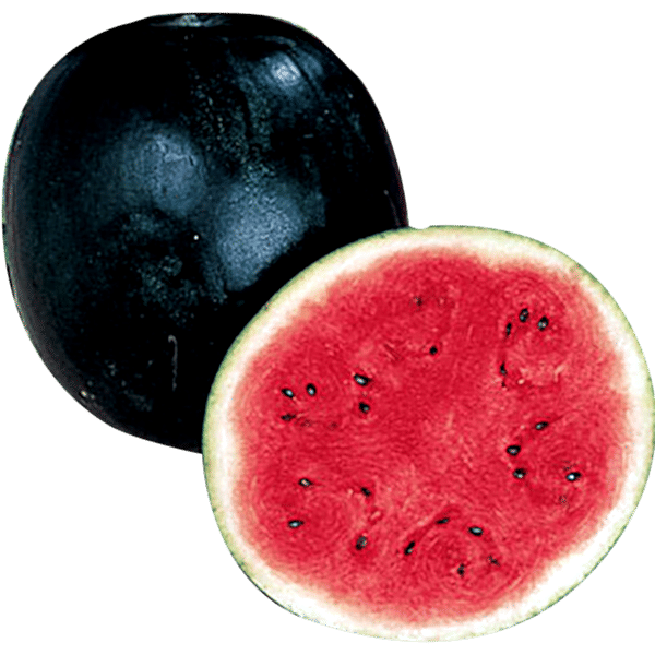 Buy fresho! Watermelon - Crimson Red Online at Best Price of Rs 87.45 ...