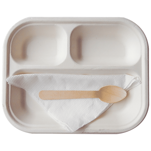 Buy VC Biodegradable Eco Friendly Disposable Square Plate Spoon Tissue ...