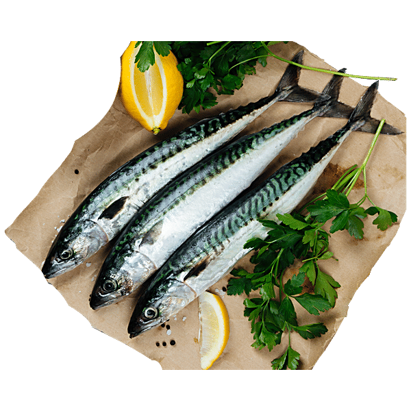 Buy fresho! Bagda Fish - Large, Processed-B Online at Best Price of Rs ...