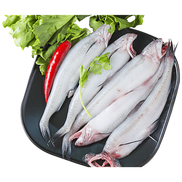 Buy fresho! Bhetki Fish Whole - B Online at Best Price of Rs 700 ...